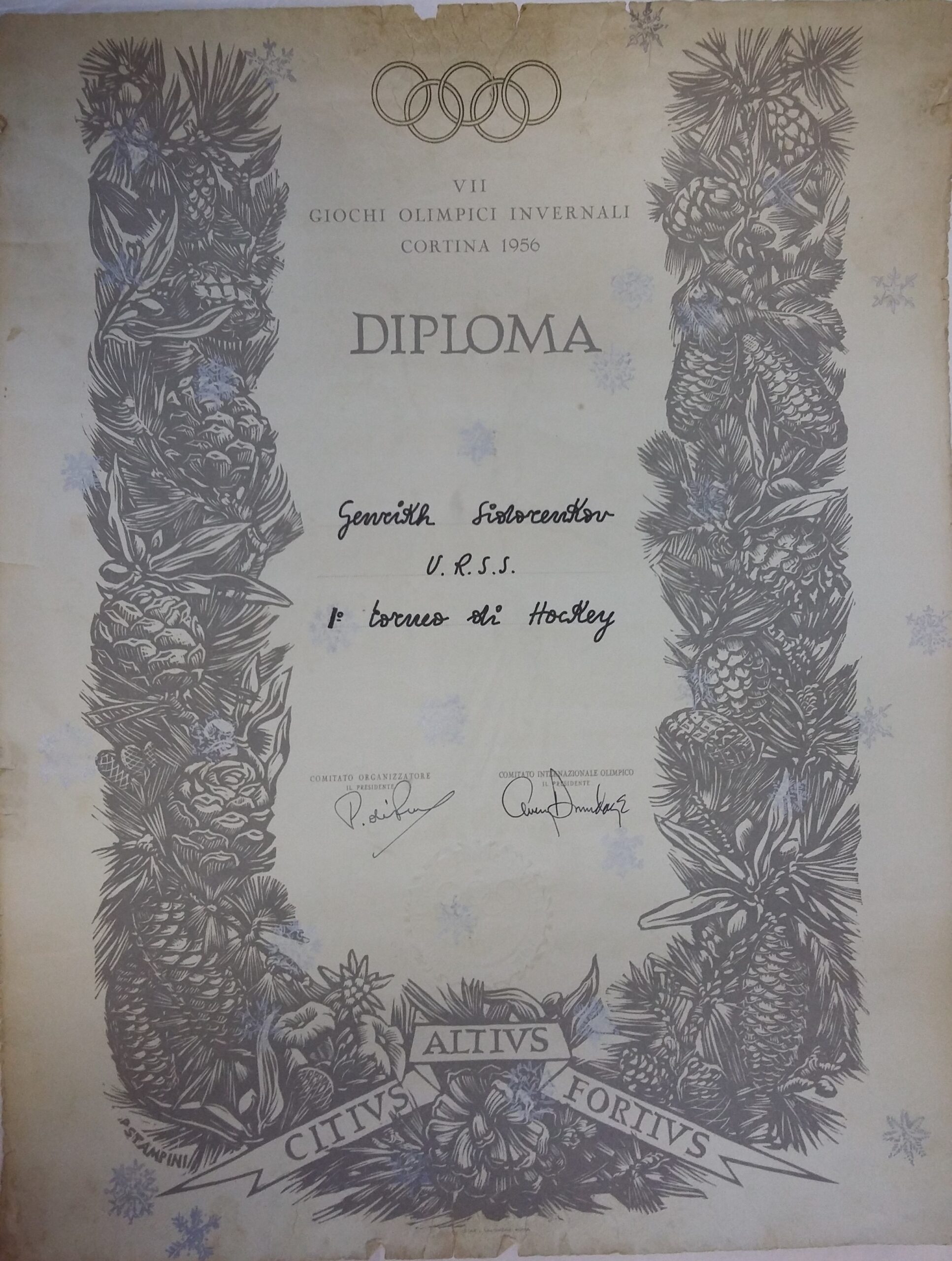 Diploma de participação Cortina 1956 – Memória Olímpica – Comitê ...